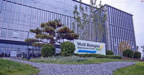 美國生物安全法案未列入2025財年國防授權法案 藥明系應聲炒上