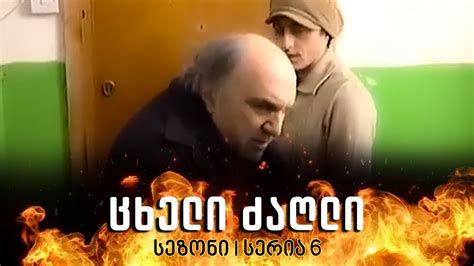ცხელი ძაღლი სეზონი 1 სერია 6 Youtube
