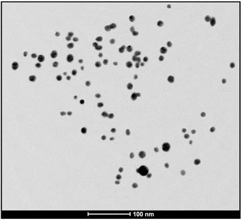 A TEM Image Of The Biosynthesized AgNPs Using CS From C Phaseospora