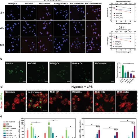 Pdf Arthritic Microenvironment Actuated Nanomotors For Active