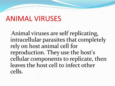 Solution Classification Of Animal Virus Studypool