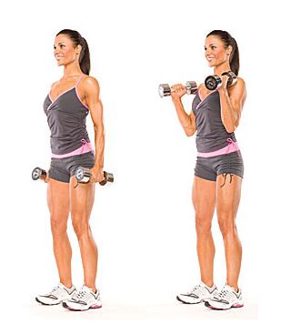 Hammer Curl Bret Contreras