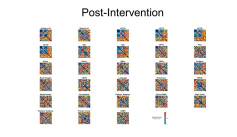 figure s6 post intervention fmri derived rdms participant averaged