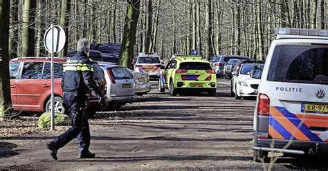 Père Qui A Poignardé Son Propre Fils 15 Dans La Forêt Sur Un Parking