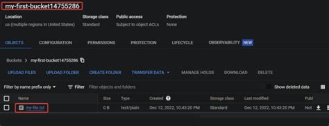How To Install Use The Google Cloud Storage Python Client