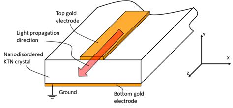 An Illustration Of Field Induced Dynamic Waveguiding Effect Download