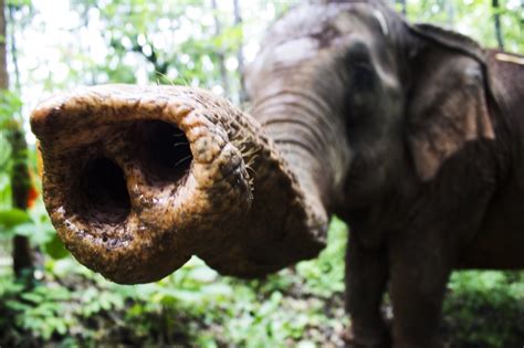 Blake Newton — In The Jungle Thailand