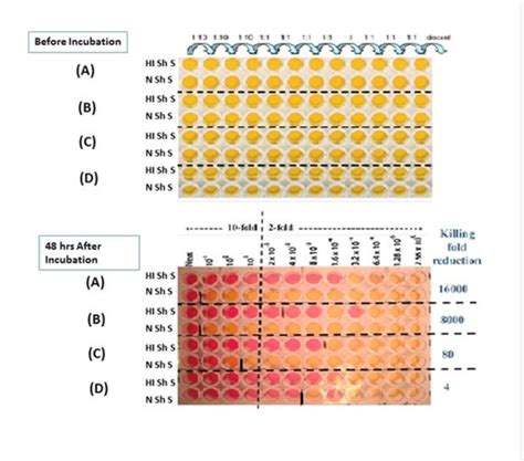 3 Schematic Diagram Of The 96 Well Plate Set Up For Complement Killing