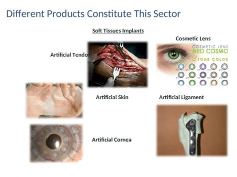 PPT Artificial Tendon Artificial Skin Artificial Ligament Artificial