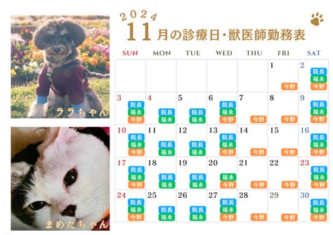 11月の診療予定獣医師勤務表 目黒区碑文谷柿の木坂にある目黒モナーク動物病院 都立大学駅学芸大学駅近辺
