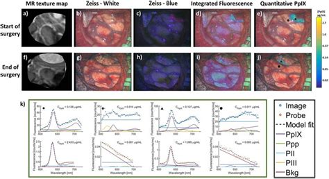 Mr Encoded Texture Map And Standard White And Blue Light Views Of The Download Scientific
