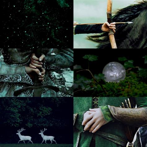 Inheritance Cycle Arya Arya Inheriwiki Fandom Eragon Became An Orphan At When He Arya