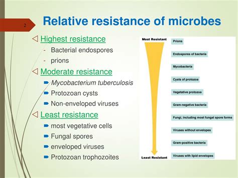 Ppt Physical And Chemical Control Of Microbes Powerpoint Presentation