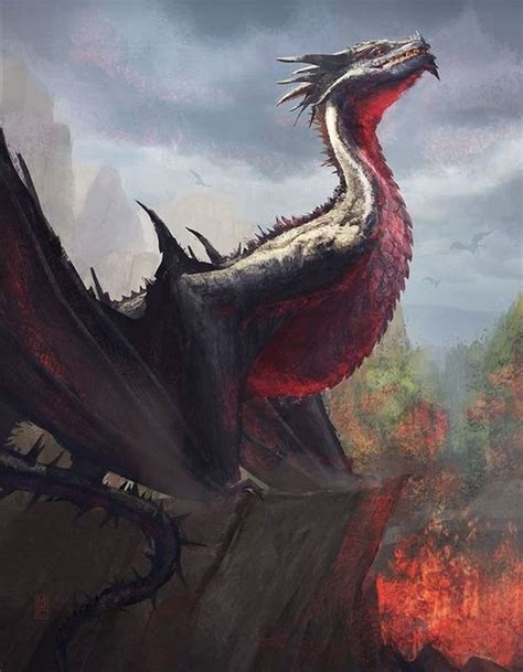 Anthony Argentin Anthonyargentin Profile Pinterest