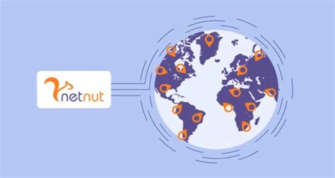 A Comprehensive Guide On Netnut Proxies 2024 Syllables