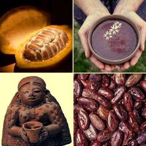 Sacred Cacao Superfood Medicine And Sacrament Successful Retreats