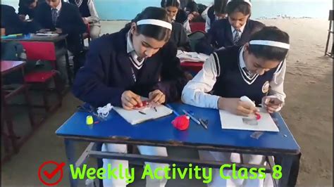 Weekly Activity Class 8 Youtube