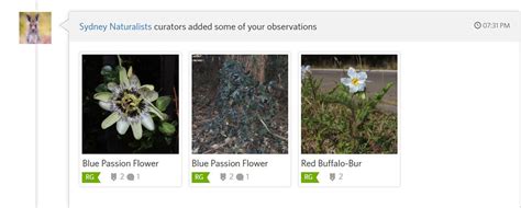 Misleading Dashboard Message When Observations Are Added To Project By