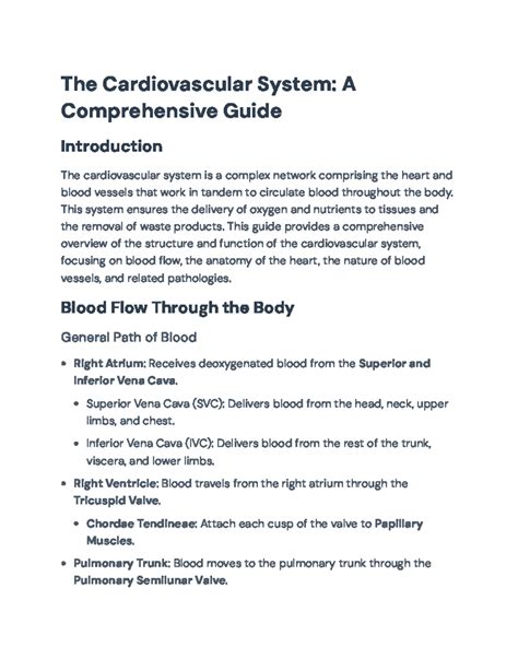 Comprehensive Guide To The Cardiovascular System Structure And Function
