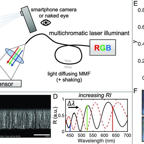 Schematic Illustration Of The Working Principles Of A Biosensor And