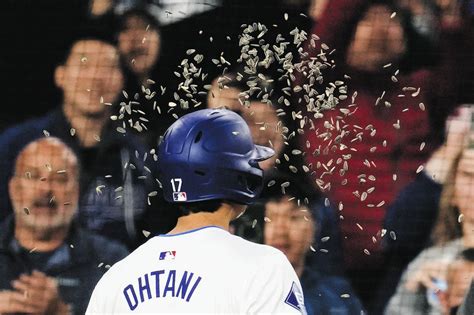 大谷翔平に会えずホームランボールをとった女性ファン 侍メジャーリーガーnews