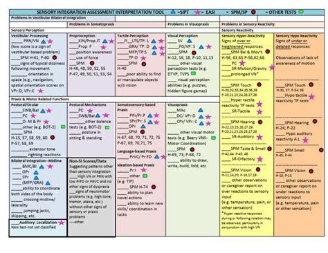 Assessment Tool Sipt Easi Pdf Somatosensory System Senses