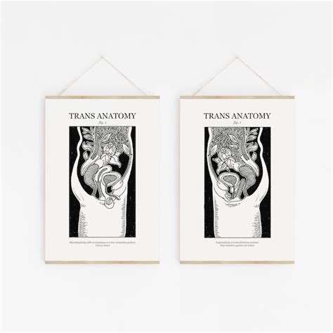 Transgender Art Etsy