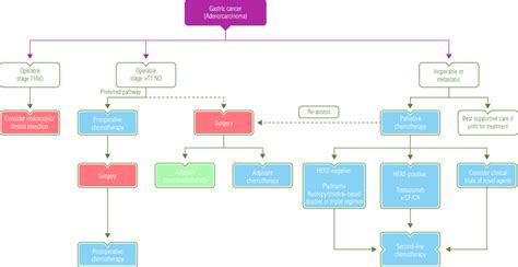 Gastric Cancer Treatment Algorithm Her2 Human Epidermal Growth Factor