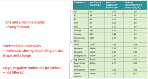 Renal Exam Compiled Flashcards Quizlet