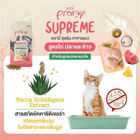 อาหารแมวเมด PRAMY ขนาด 1kg Lazada co th