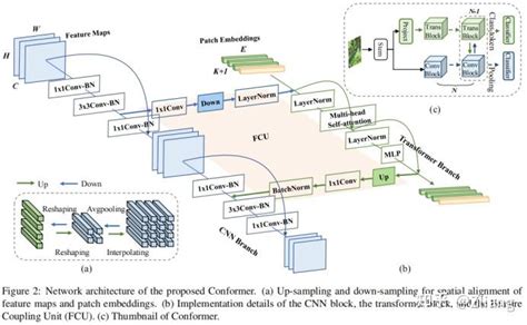 Iccv2021 Conformer Local Features Coupling Global Representations