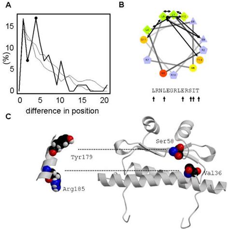 Correlated Mutation Analysis Of Mads Domain Proteins Workflow Diagram Download Scientific