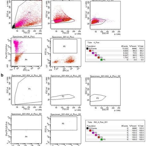 Estimation Of Mmc Cell Types A Data For Mmc Cells From 26 Embryos