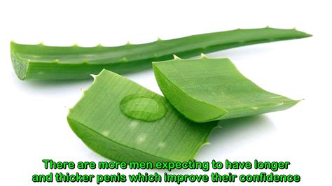 Why Aloe Vera Good For Men 7 Powerful Benefits Of Aloe Vera For Male
