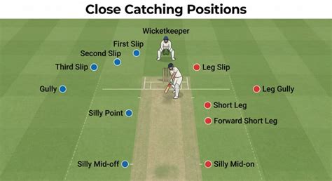 30 Cricket Field Positions Explained The Ultimate Guide