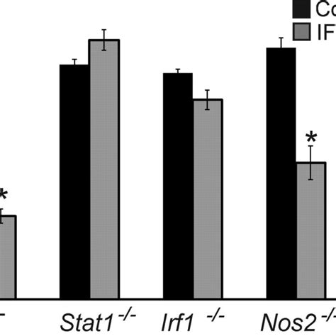 Ifn γdriven Cai Is Stat1 And Irf 1 Dependent But Largely Nos2 And Cybb