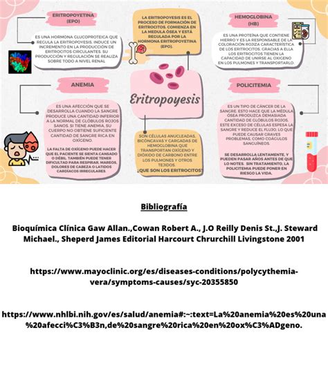 Eritropoyesis Pdf