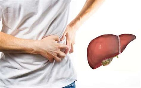 Pitte Ki Pathri Healthart And Health Article Article No 2642