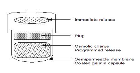 Schematic Design Of Osmotic System [reproduced From Arora S Ali J Download Scientific