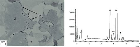 Sem Micrographs With The Eds Analysis 30min Interval At 800°c Download Scientific Diagram