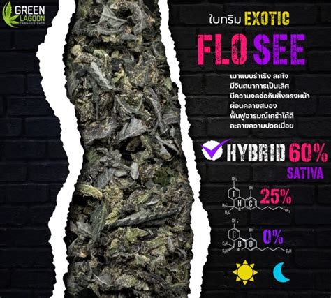 ใบทริม Flosee Indoor Green Lagoon Store