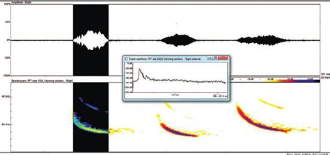 Oscillogram Spectrograms And Power Spectrum Of The Recorded C1 Type Download Scientific