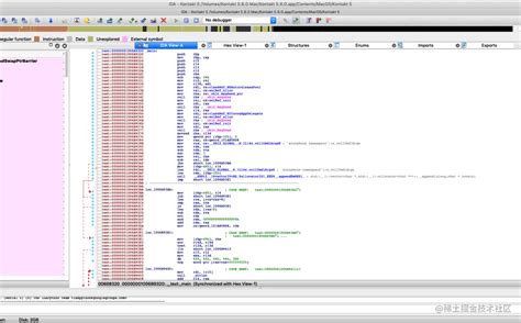 Ida Pro 702 Mac反编译软件ida Pro 702是二进制代码分析工具之一，是专业软件分析师、逆向工 掘金