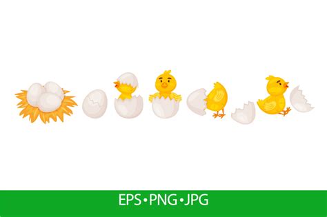 Cartoon Chicken Hatching From Egg Graphic By Frogellastock · Creative