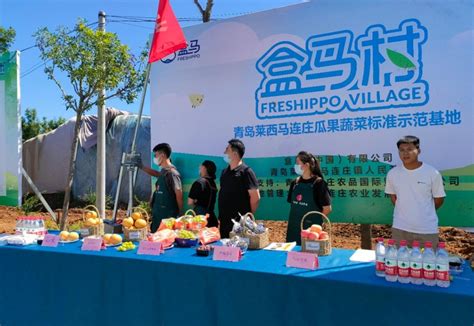 山东莱西成立首个“盒马村” 电商派