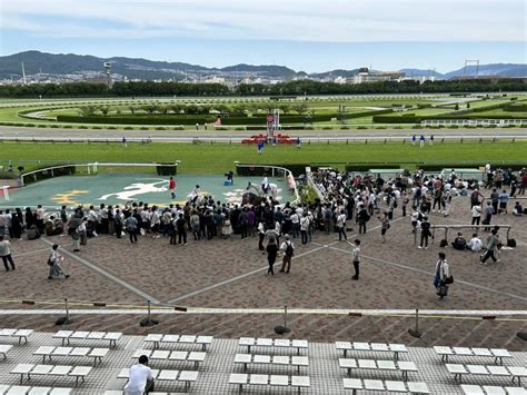 競馬ブックネットshop On Twitter ！！！！！ 阪神競馬場 誘導馬