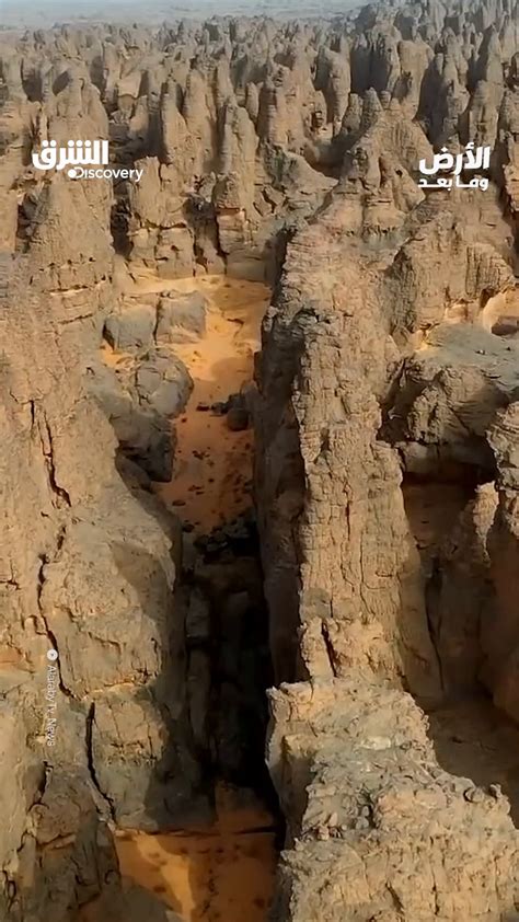 مناوي دمج الجيش والشرطة والأمن شرط أساسي لأي اتفاق حاكم إقليم دارفور