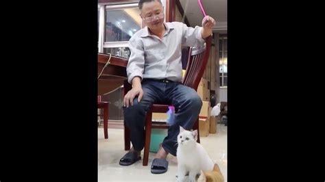 当初不支持你养猫的老爸，下班回家后居然偷偷的在撸猫？ 005 Youtube
