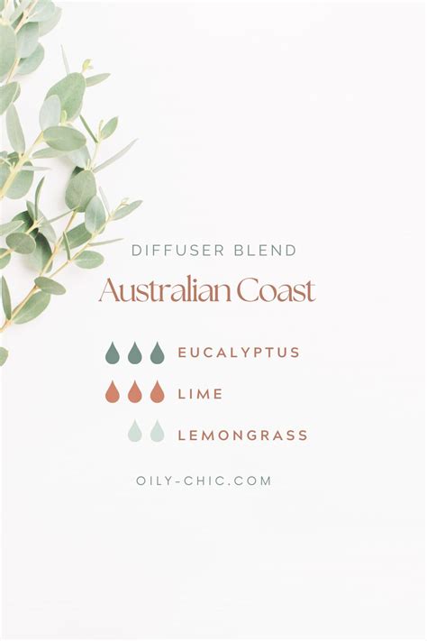 Refreshing Eucalyptus Diffuser Blends