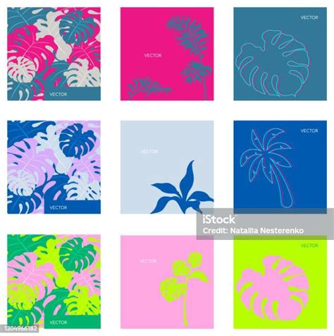 정글 채식 플랫 컬러 벡터 배경 세트 다채로운 몬스터 잎 결함 나뭇 가지 열대 식물 모티프 소셜 미디어 게시물 모의 이국적인 여름 단풍 웹 배너 템플릿 팩 0명에 대한 스톡